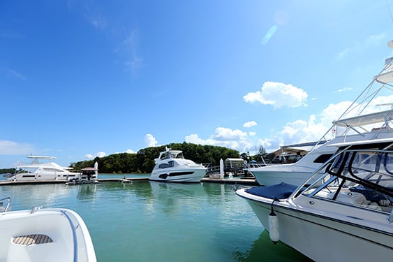 American-Made Marine Fabrics | Herculite Products, Inc.