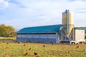 Herculite® Brand Agricultural Curtain Fabrics